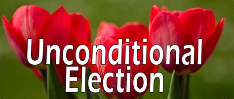 2. Unconditional Election Calvinism – Living as a Christian in this World