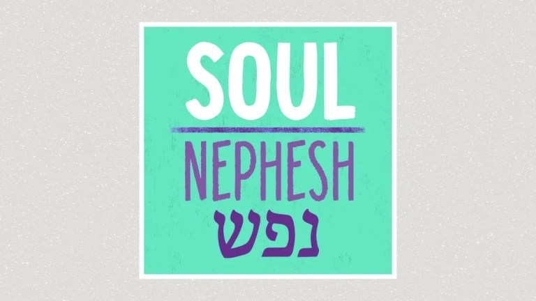 A Biblical Soul (Nephesh) is the whole Person including the Body ...