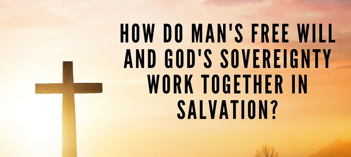 The Coexistence of Sovereignty and Free Will – Calvinism Series ...